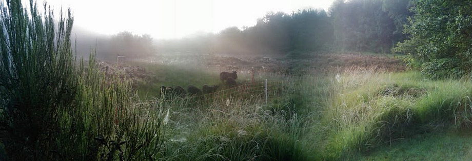 Doelstelling en beleid – NatuurWerkgroep Rucphen e.o.