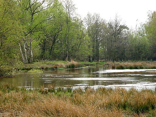 nieuwsbrief – NatuurWerkgroep Rucphen e.o.